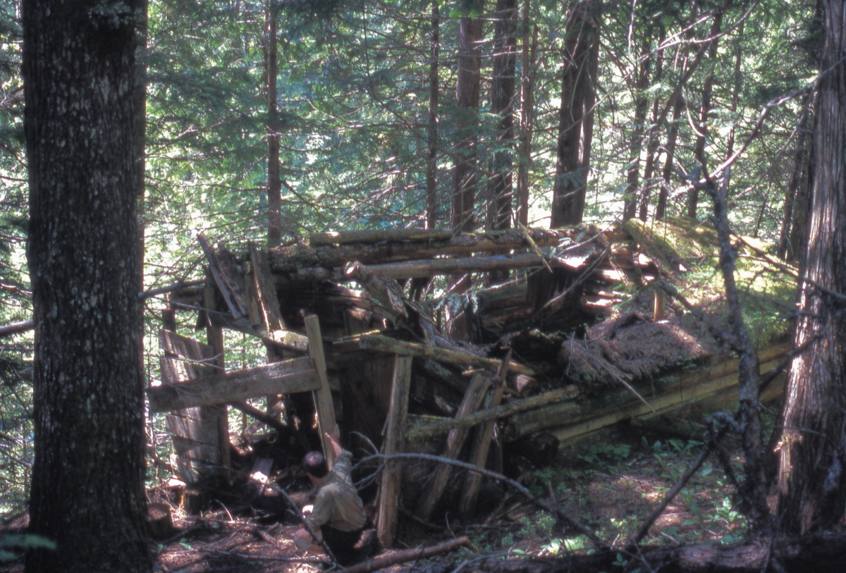 Valhalla Warrior: Solo Kayaking And Hiking On Slocan Lake, Part 1 ...